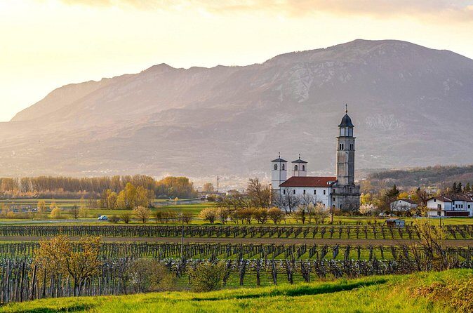 Vipava Valley Wine Express Tour From Ljubljana - The Downsides