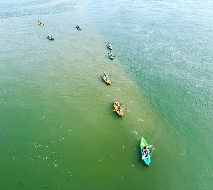 Virginia Beach: Dolphin Kayak Tour: This is a Workout! - Practical Tips for Making the Most of Your Tour