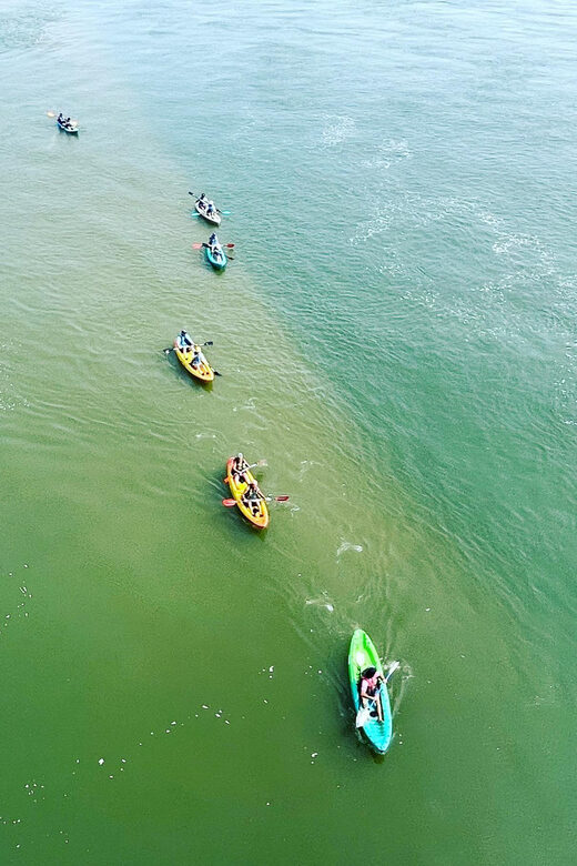 Virginia Beach: Dolphin Kayak Tour: This is a Workout! - Who This Tour Is Best For