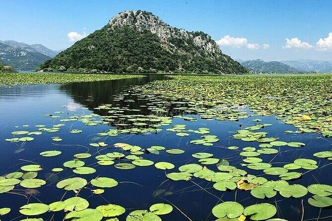 Virpazar Skadar Lake National Park Guided Boat Tour - In-Depth Look at the Experience