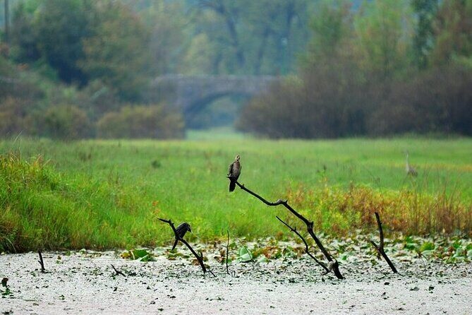 Virpazar Skadar Lake National Park Guided Boat Tour - Final Thoughts