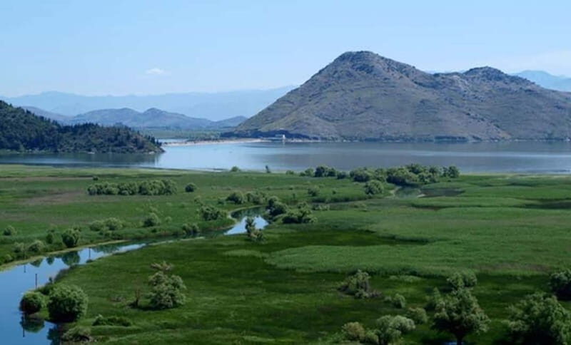 Virpazar: Skadar Lake National Park Guided Boat Tour - The Sum Up