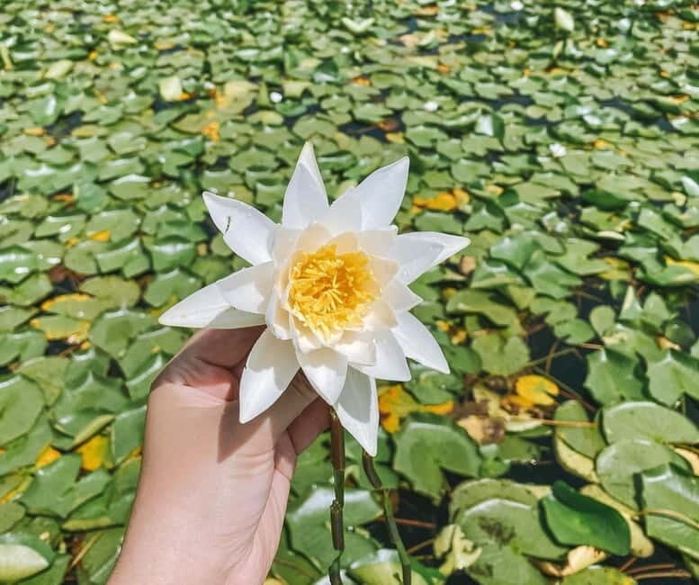 Virpazar: Skadar Lake Nature Kayak Tour - FAQ