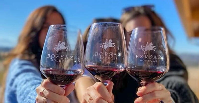 Visit a wine cellar, a wine museum and a traditional meal - An In-Depth Look at the Aragón Wine and Food Tour
