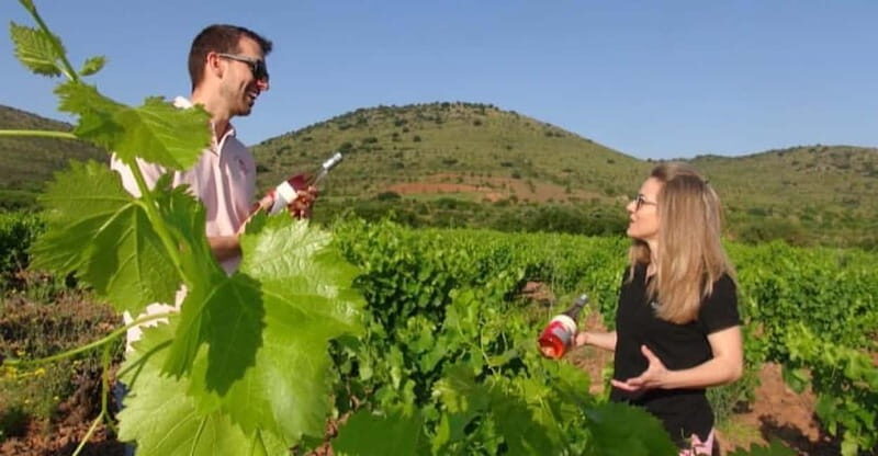 Visit a wine cellar, a wine museum and a traditional meal - Who Is This Tour Best For?