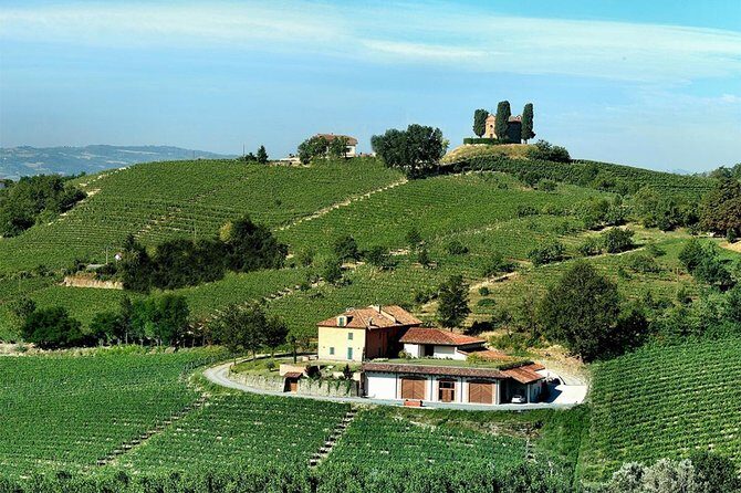 Visit among vineyards and wine cellar with wine tasting in Nizza Monferrato - FAQs