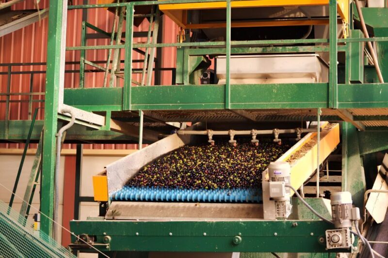 Visit an almazara + extra virgin olive oil tasting: Baeza - The Itinerary: What to Expect at El Alcazar Olive Mill