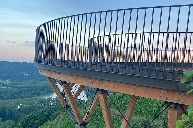 Visit and aperitif of the hills between Côte Rôtie and Condrieu - The Sum Up: Who Will Love This Tour?