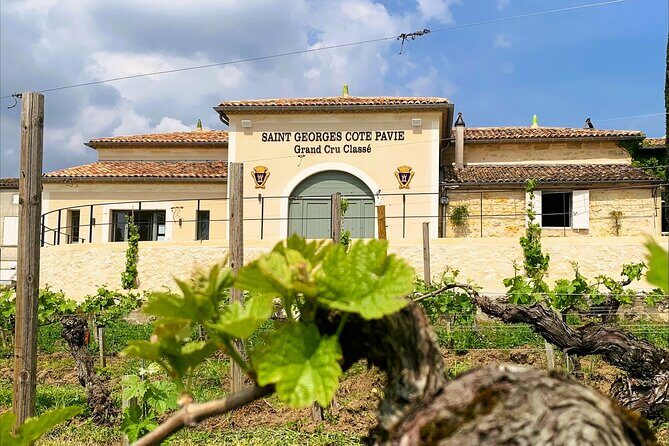 Visit and Tasting Château Saint-Georges Cote Pavie, Grand Cru Classé - Key Points  