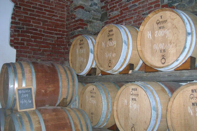 Visit and tasting of 4 D.O.C.wines Fontechiara - Exploring the Fontechiara Wine Tasting Experience: A Balanced Look