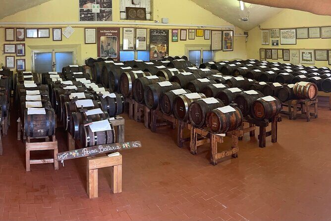 Visit and Tasting of Traditional Balsamic Vinegar of Modena - Exploring the Tour: Step-by-Step