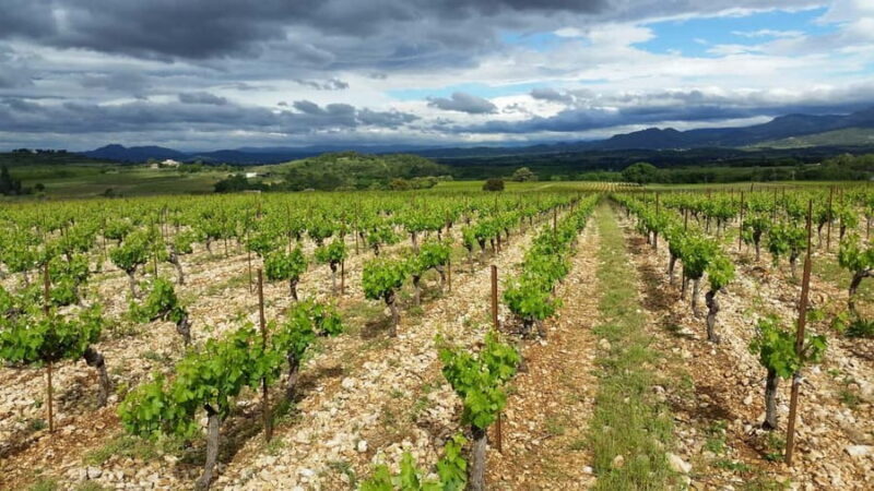 Visit and tasting - The essential - Final Thoughts