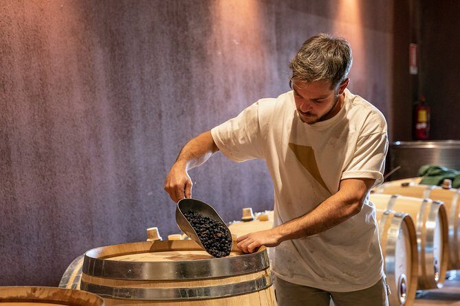 Visit and wine tasting at Tenuta La Cà - The Atmosphere and Group Dynamics