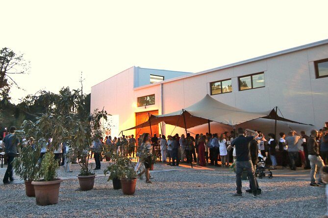 Visit and Wine Tasting at the Territorio Luthier Winery - The Journey Through the Winery