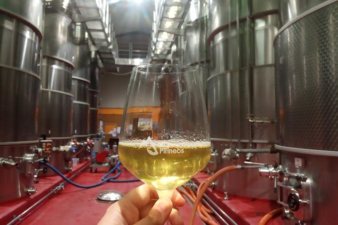 Visit and wine tasting with sausage and BODEGA PIRINEOS cheese - An In-Depth Look at the Tour Experience