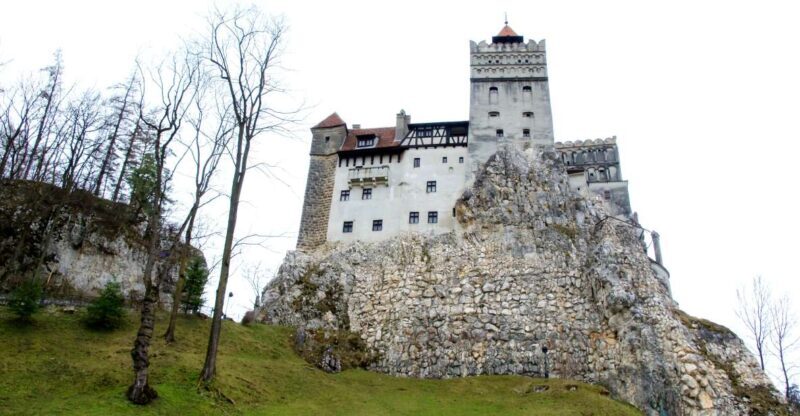 Visit Bear Sanctuary and Bran Castle from Brasov - Exploring the Itinerary in Detail  