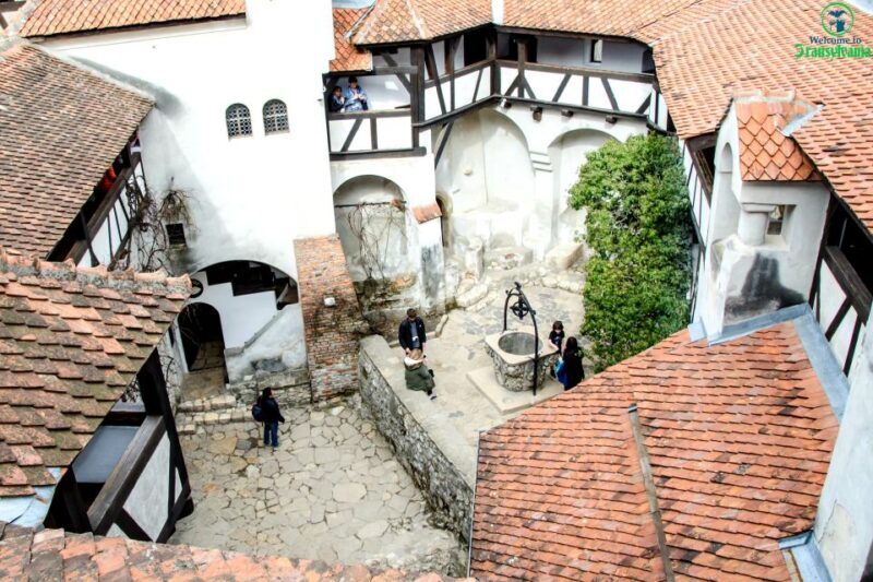 Visit Bear Sanctuary and Bran Castle from Brasov - Authentic Experiences and Hidden Gems  