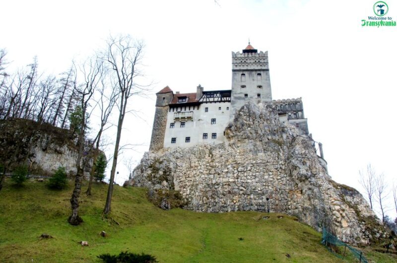 Visit Bear Sanctuary and Bran Castle from Brasov - Practical Tips for Your Trip  