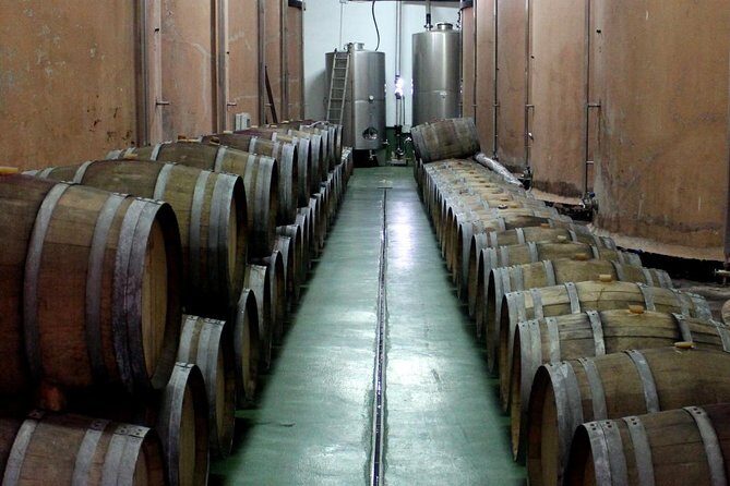 Visit Bodegas Teneguía winery in La Palma with wine Tasting - FAQs