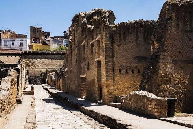 Visit Herculaneum with an expert professional guide (2/3 hours) - The Experience in Practice
