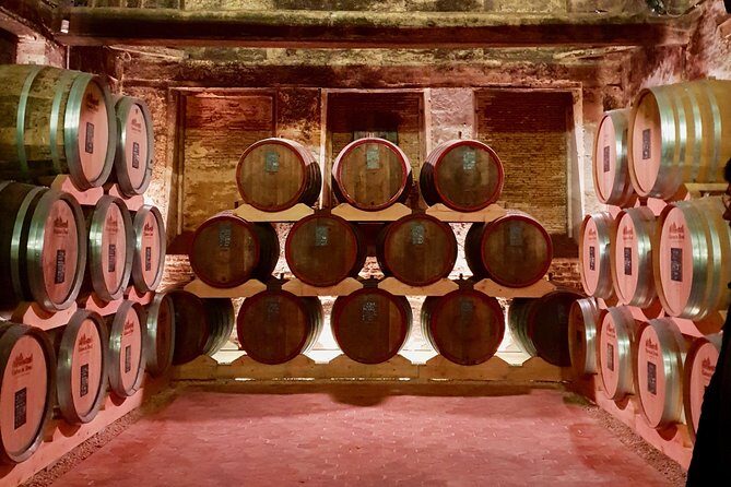 Visit Honfleur by sidecar: 1.5 to 3.5 hour tour along the coast - Key Points