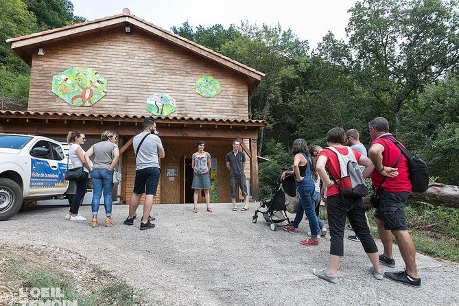 Visit - immersion in the heart of the bee world! - A Deep Dive into the Beekeeping Experience