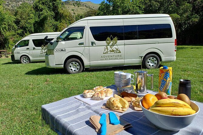 Visit Kaikura from Christchurch (small group Tour) - Encounter Kaikoura: Dolphin Encounter (Optional)  