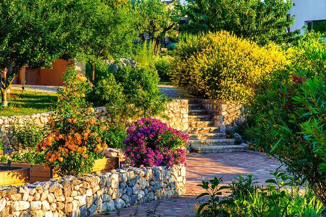 Visit Klis fortress GOT & Olive museum Klis - Practical Tips for Making the Most of Your Trip