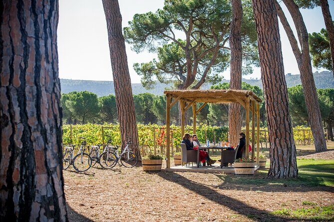 Visit La Joya Escondida de la Ribera del Duero Winery - The Sum Up