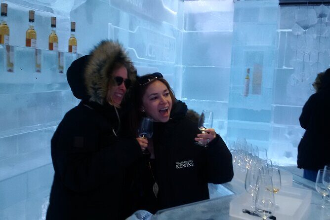 Visit Niagara Falls and experience a VIP Wine Tour - Authentic Insights from Reviews  