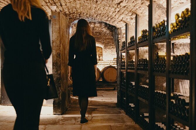 Visit of our 15th century cellars - Who Will Enjoy This Tour?