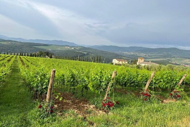 Visit Of The Chianti Classico And The Tuscan Countryside - What Makes This Tour Stand Out