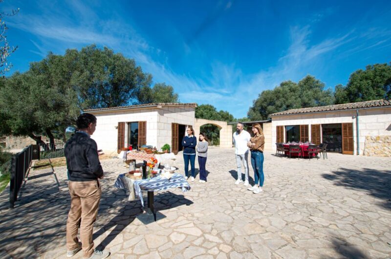 Visit of the olive grove, olive oil tasting and snack - Who Is This Tour Best For?