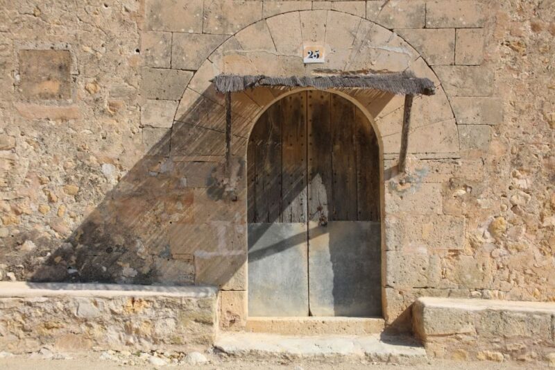 Visit of the olive grove, olive oil tasting and snack - The Sum Up