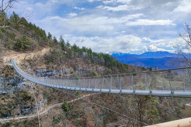 Visit of the vineyard on Mount Mezzocorona and tasting of 3 wines - Who Should Consider This Tour?