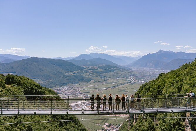 Visit of the vineyard on Mount Mezzocorona and tasting of 3 wines - Final Thoughts