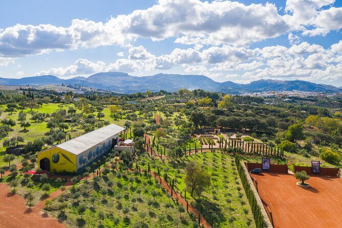 Visit Oil Mill Museum and Olive Oil Tasting in Ronda - Key Points