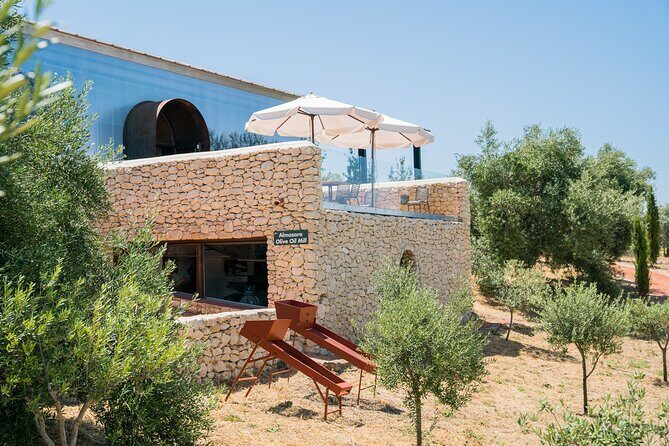 Visit Oil Mill Museum and Olive Oil Tasting in Ronda - Who Will Love This Tour?