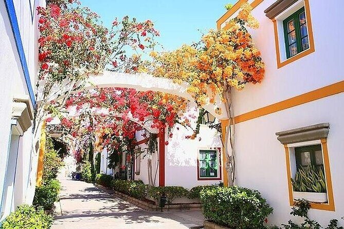 Visit Puerto de Mogan and Its Market with One Way Boat Ride - Key Points