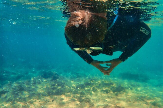 Visit Secret Caves, Hidden Beaches and Snorkel in Alvor, Portugal - The Sum Up