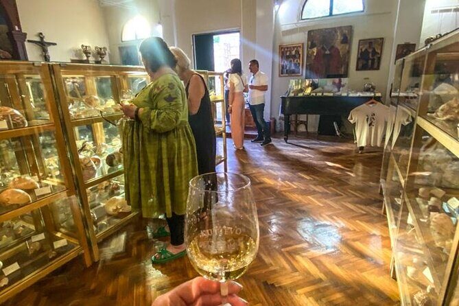 Visit Shell Museum Cavtat - Final Thoughts: Is It Worth It?