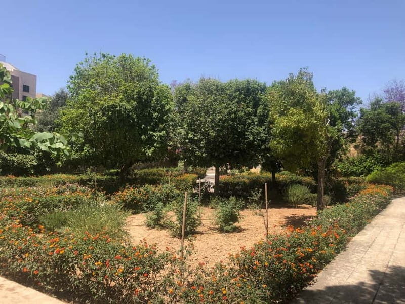 Visit Tarxien Temples, Kalanka Bay, Blue Grotto, Marsaxlokk - Key Points