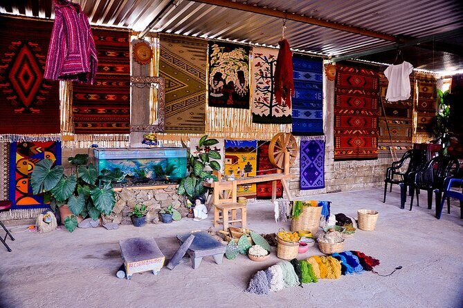 Visit Teotitlán del Valle and Hierve El Agua Waterfalls - Who Should Consider This Tour?