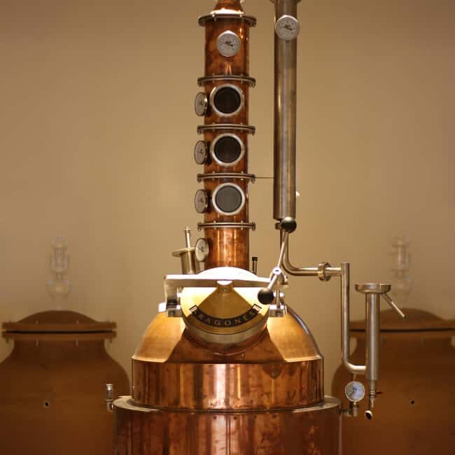 Visit the distillery of Ischia island - Key Points