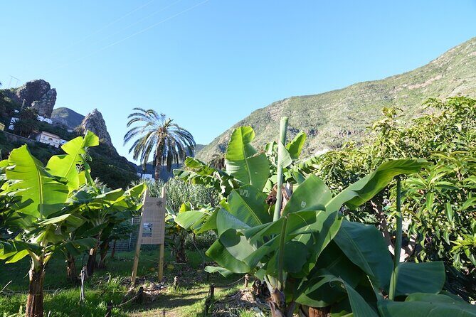 Visit the Ethnographic Park of La Gomera - Who Will Love This Experience?