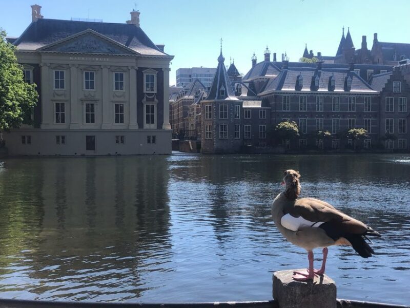 Visit the Girl with the Pearl Earring, The Hague & Delft - Final Thoughts