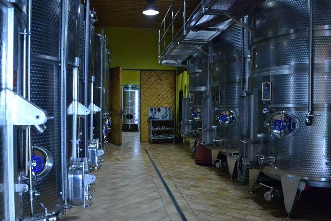 Visit the Marchesi de Cordano winery and taste its wines - Introduction