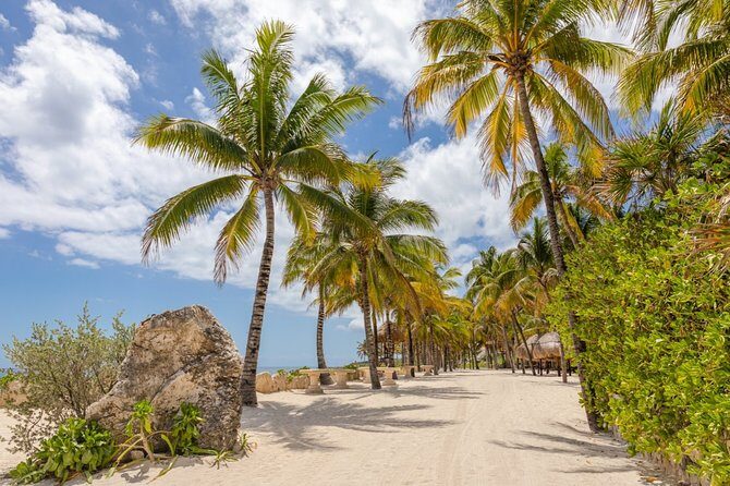 Visit the Mexican Caribbean and live the amazing experience with 3 ECO PARKS - FAQs