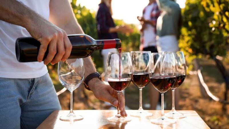 Visit the vineyards and discover Bandol wines - The value of this experience