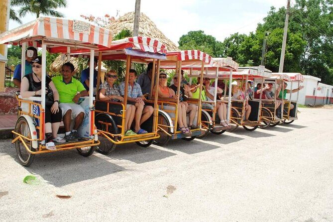 Visit to a Mayan Community. Living Culture, Traditions and Cenote - In-Depth Review of the Tour